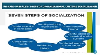Socialization | PPT