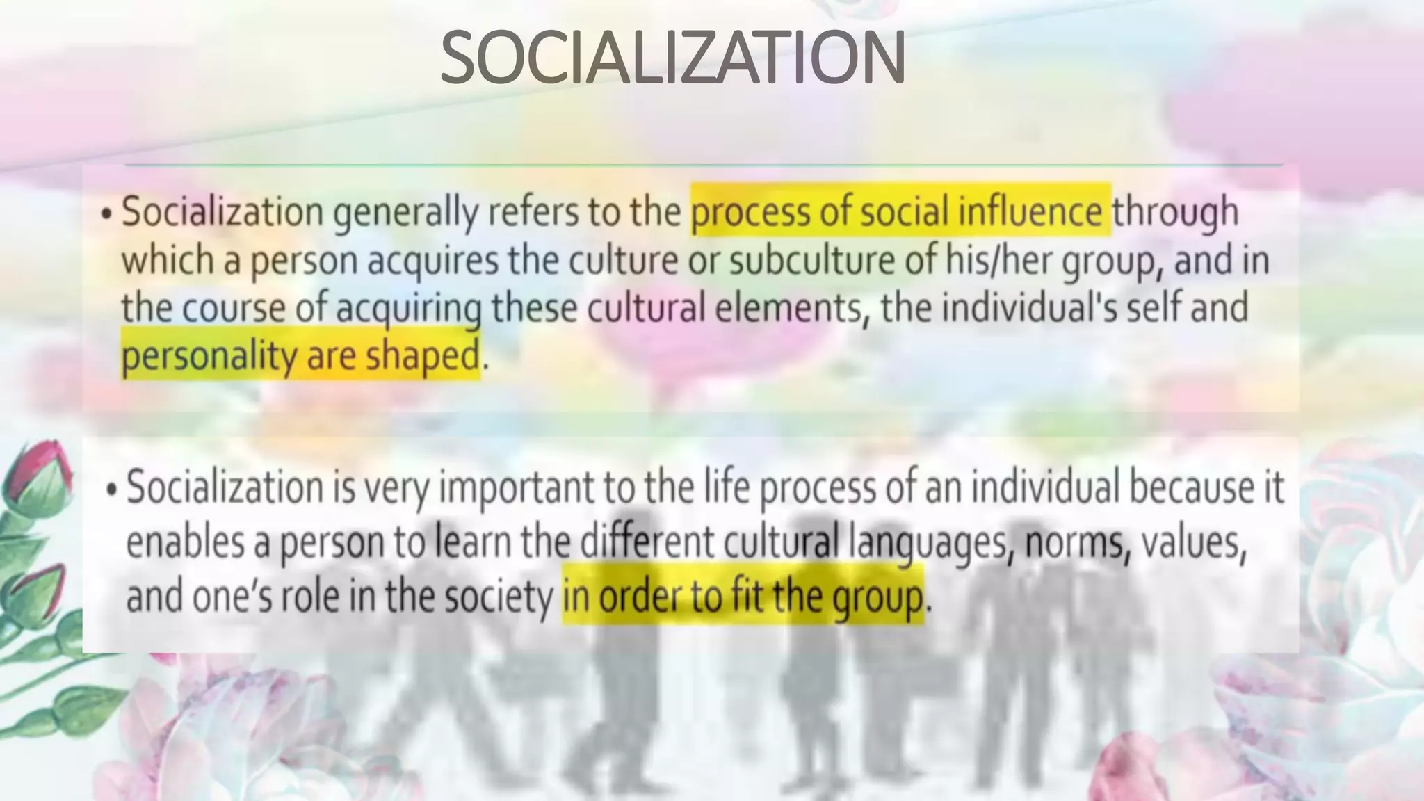 socialization.pptx