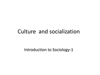 socialization and culture .ppt
