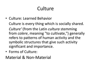 socialization and culture .ppt