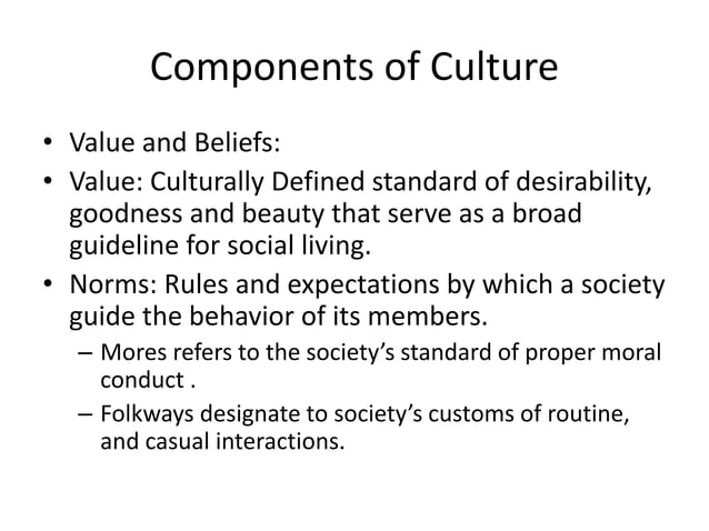 socialization and culture .ppt