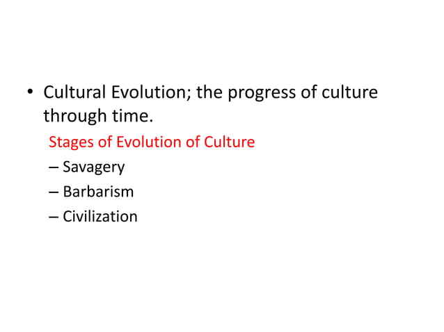 socialization and culture .ppt