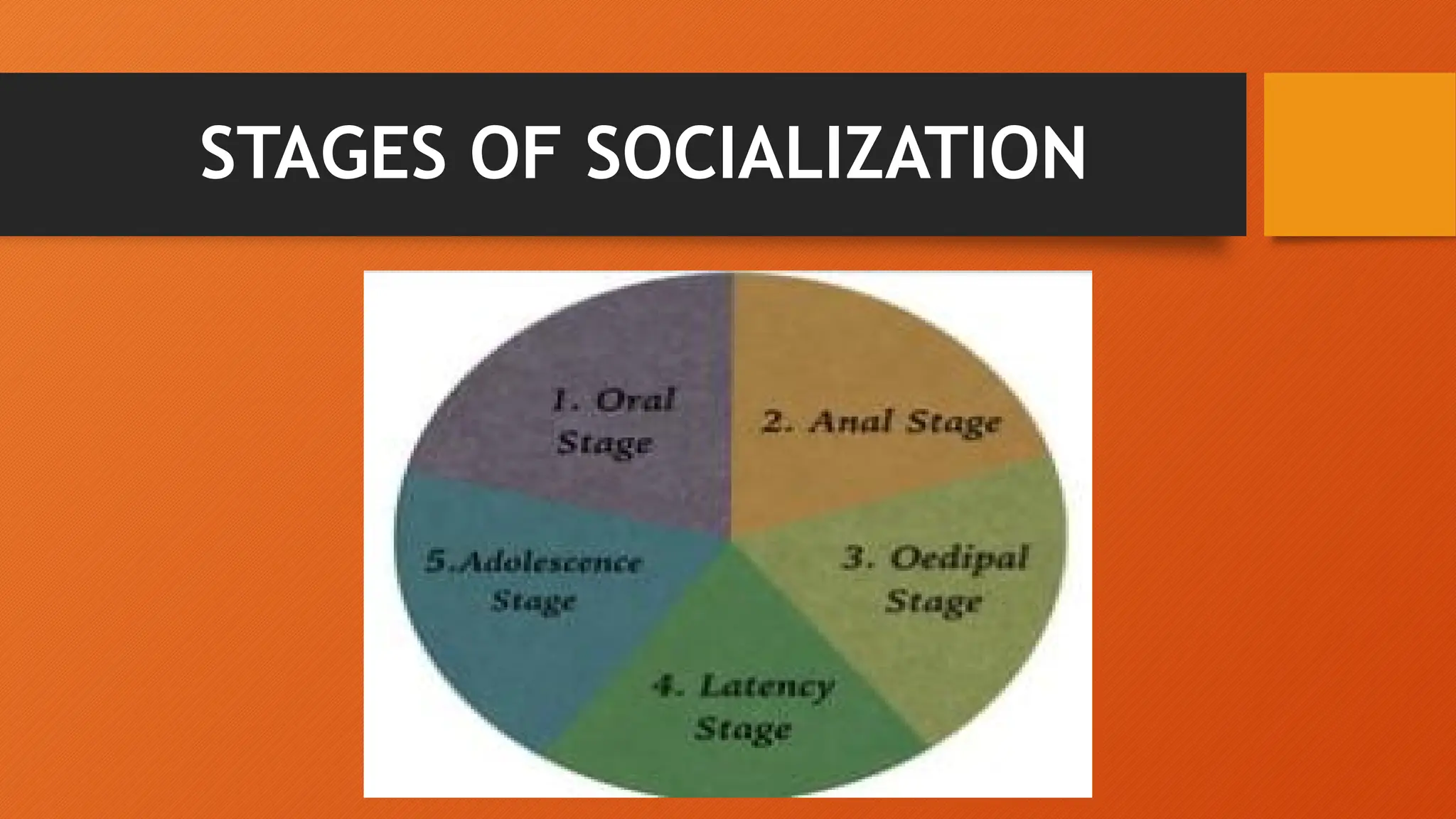 Socialization- Introduction, definition, types, stages of socialization ...