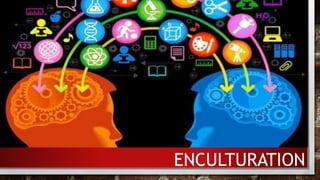 Enculturation