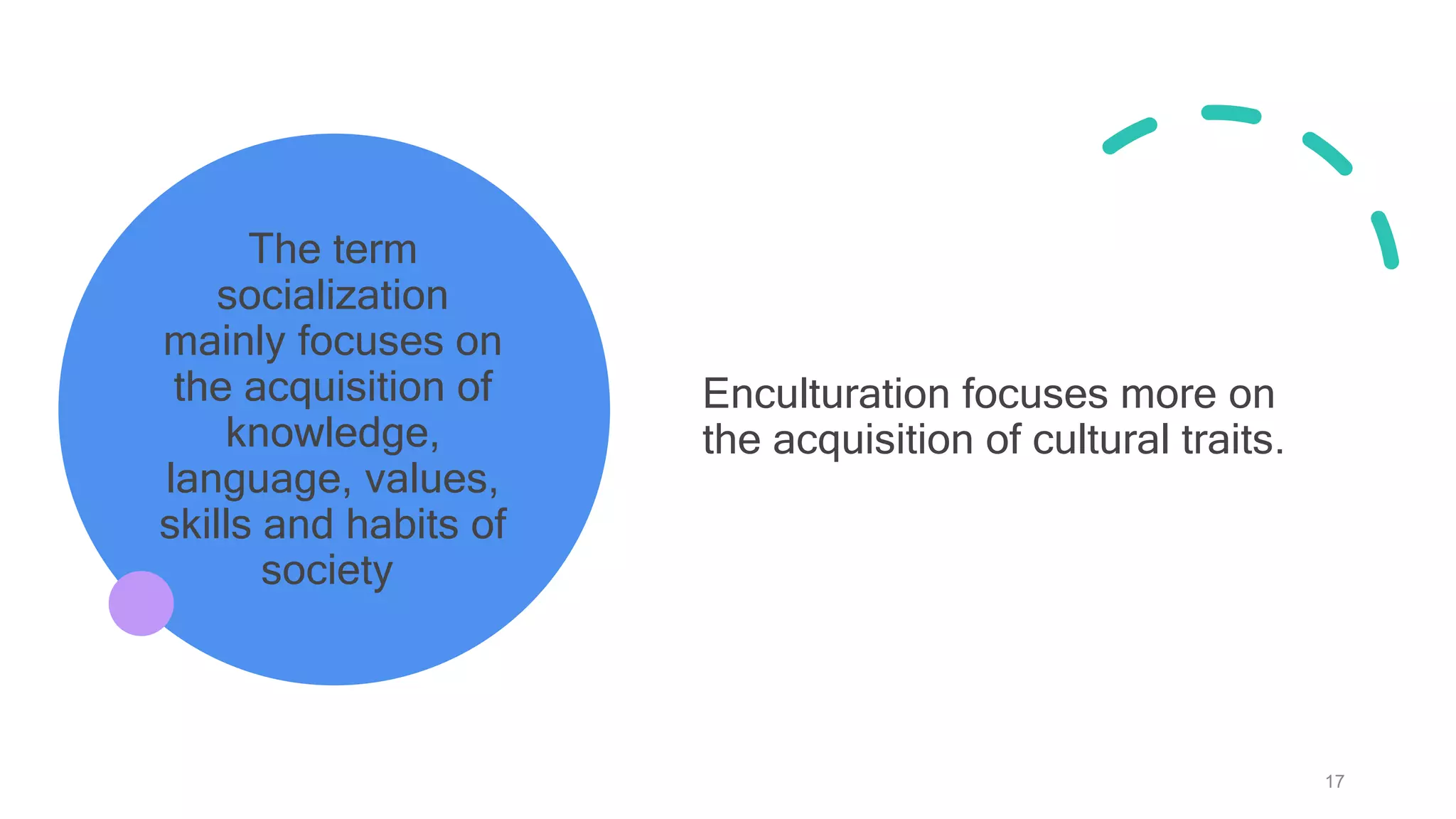 Socialization and social organizations | PPTX