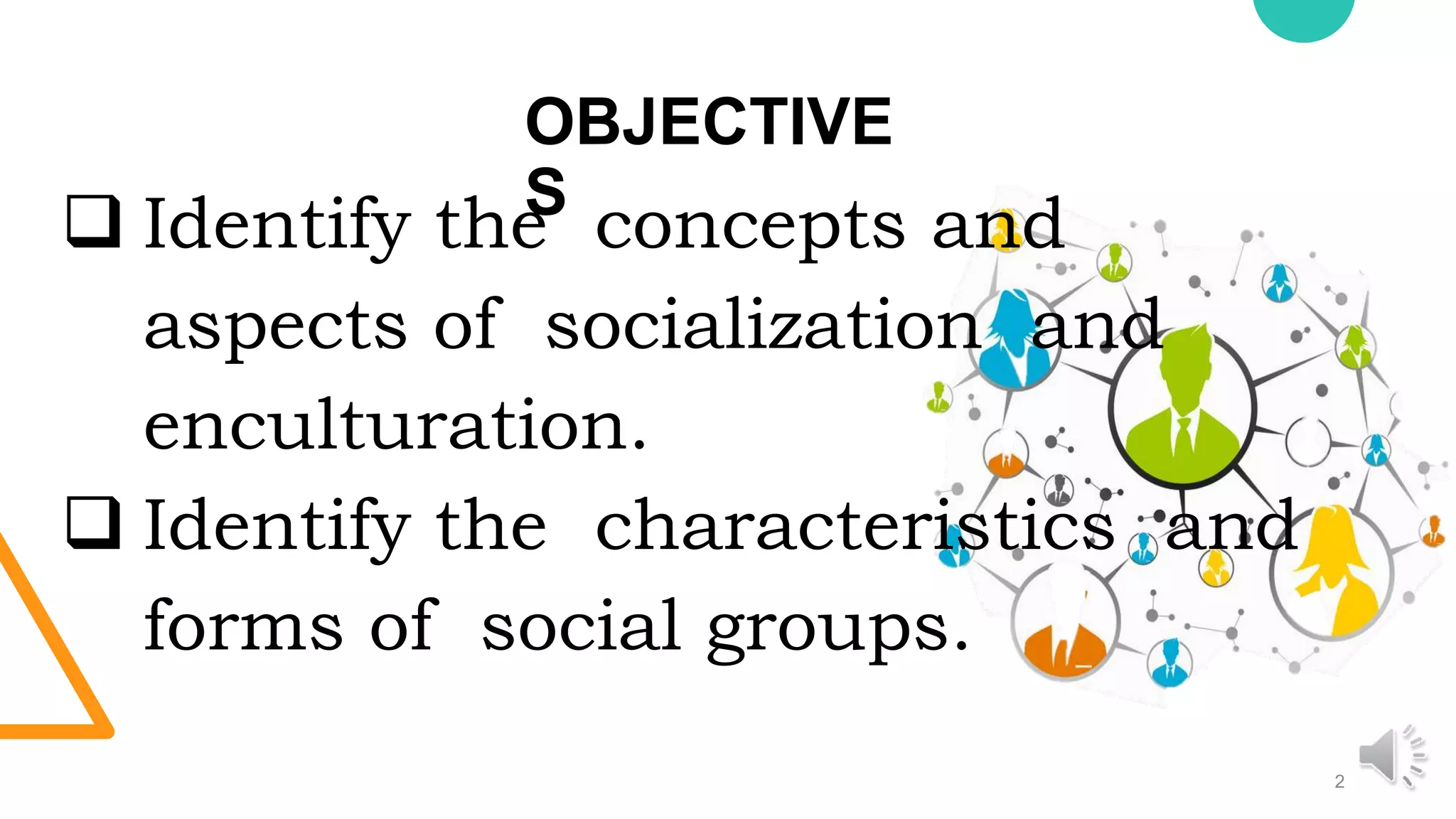 Socialization and social organizations | PPTX