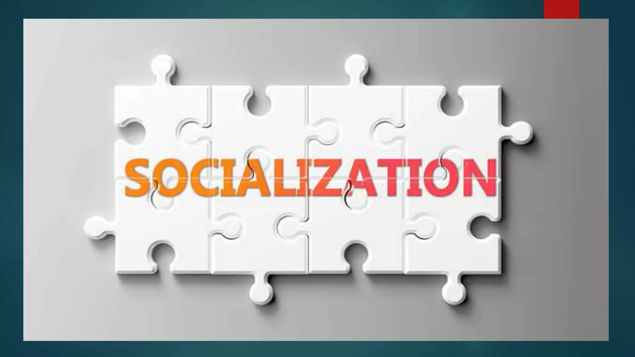 Socialization | PPTX