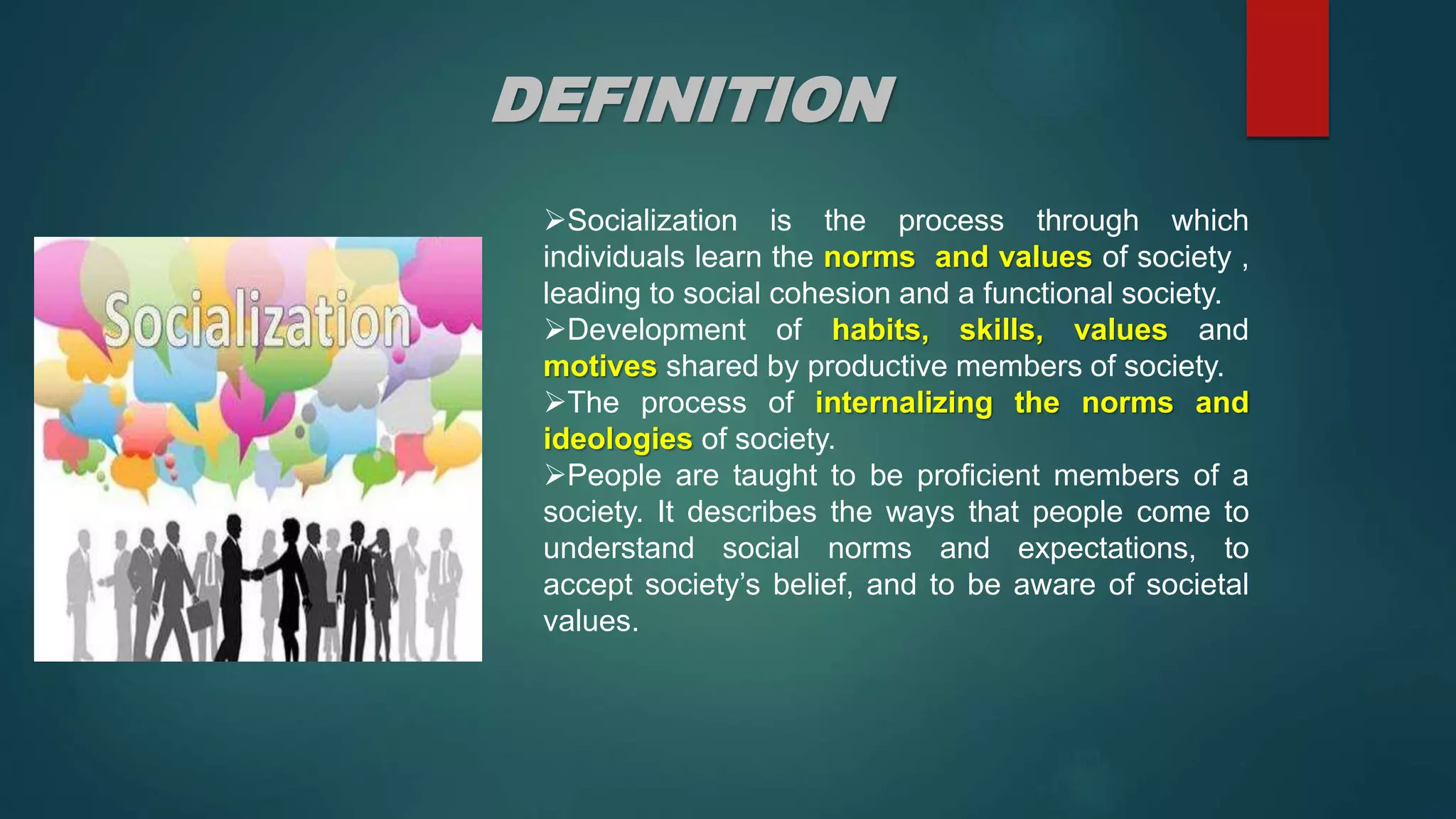 Socialization | PPTX