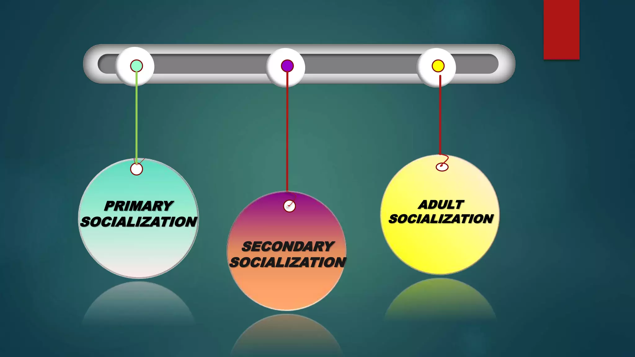 Socialization | PPTX