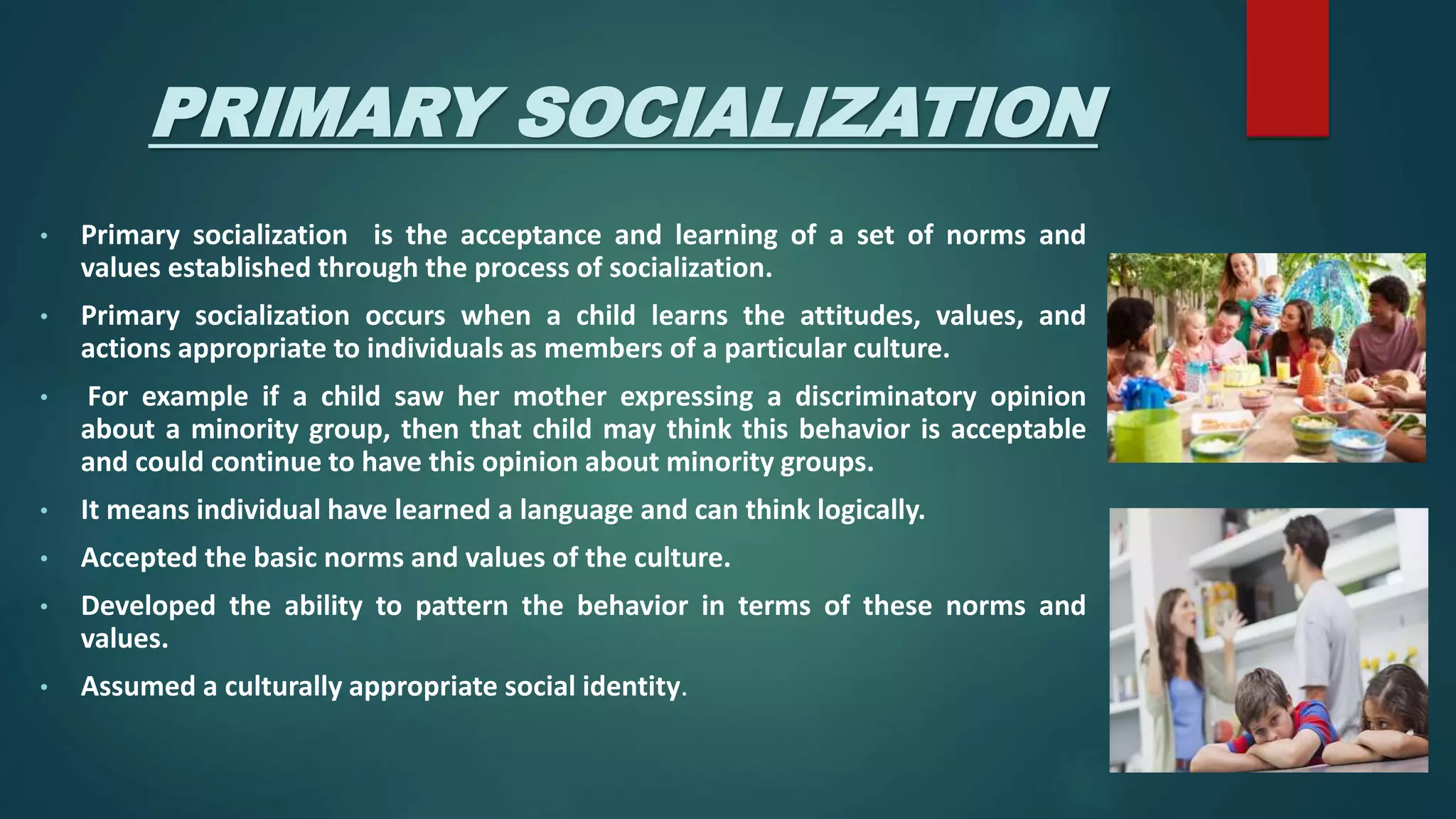 Socialization | PPTX