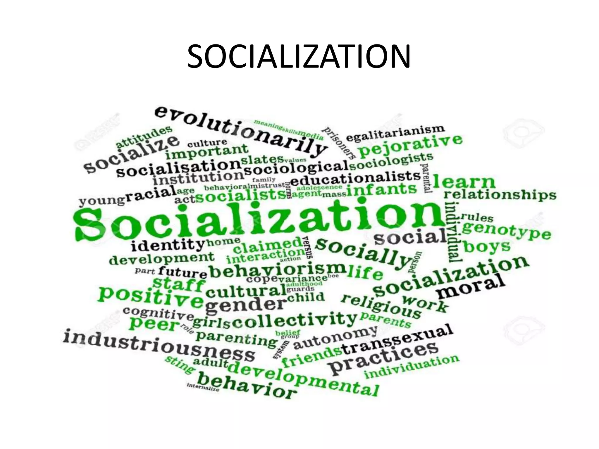 Socialization in learning process | PPT
