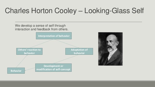 Socialization presentation