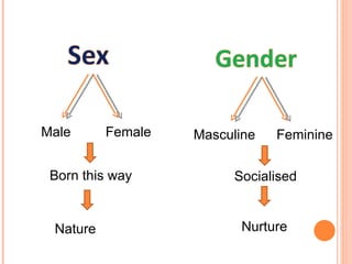 AQA GCSE Sociology - Socialization | PPT