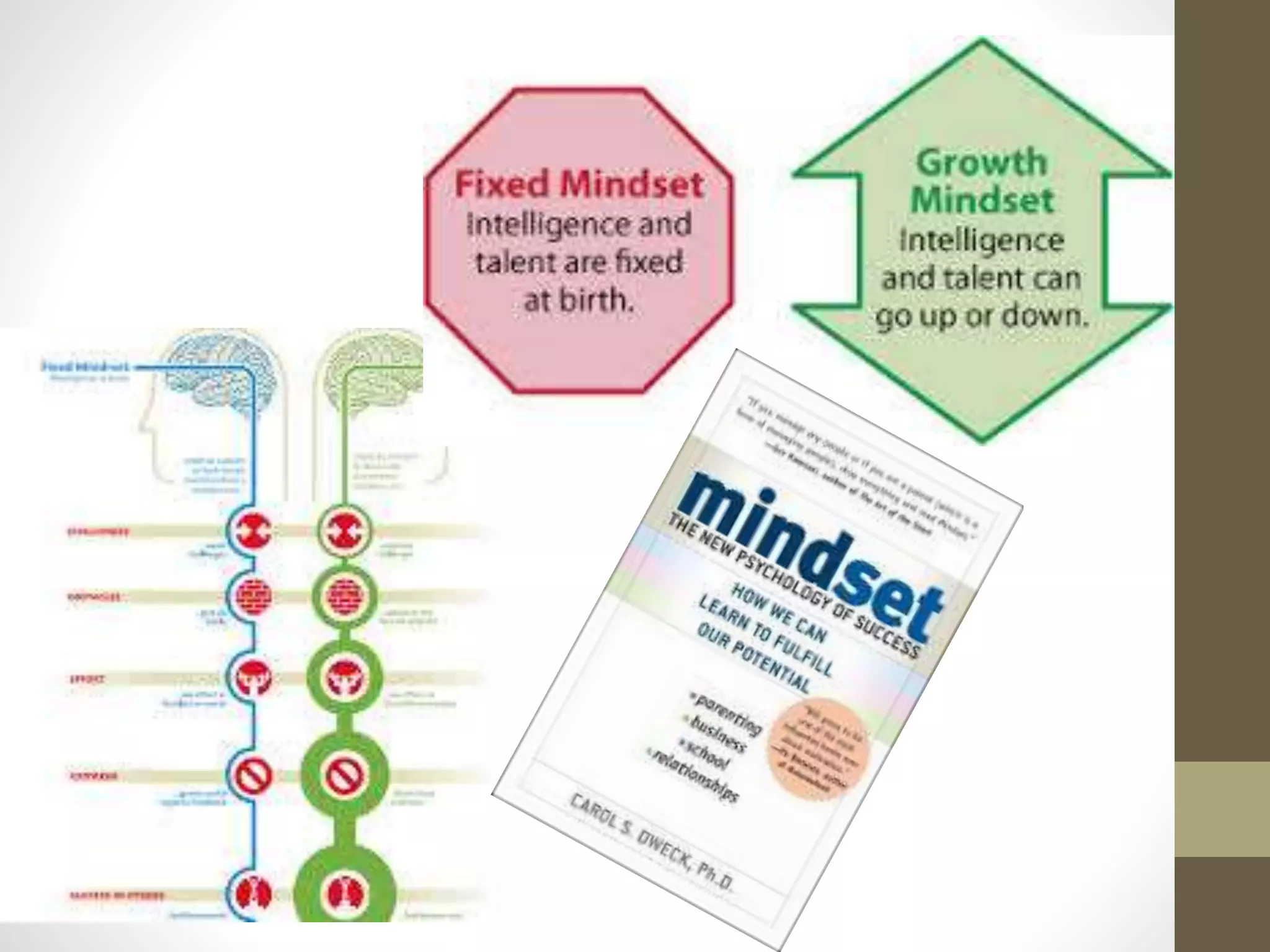 Social justice & mathematics education | PPTX