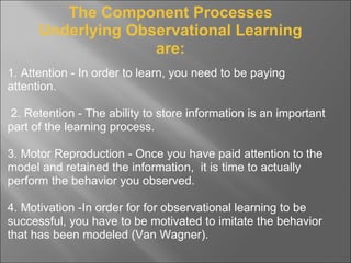 Social Learning Theory | PPT | Science