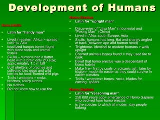 (Social) Living Stone Age | PPT