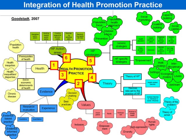 Social Marketing & Health Promotion 1 | PDF