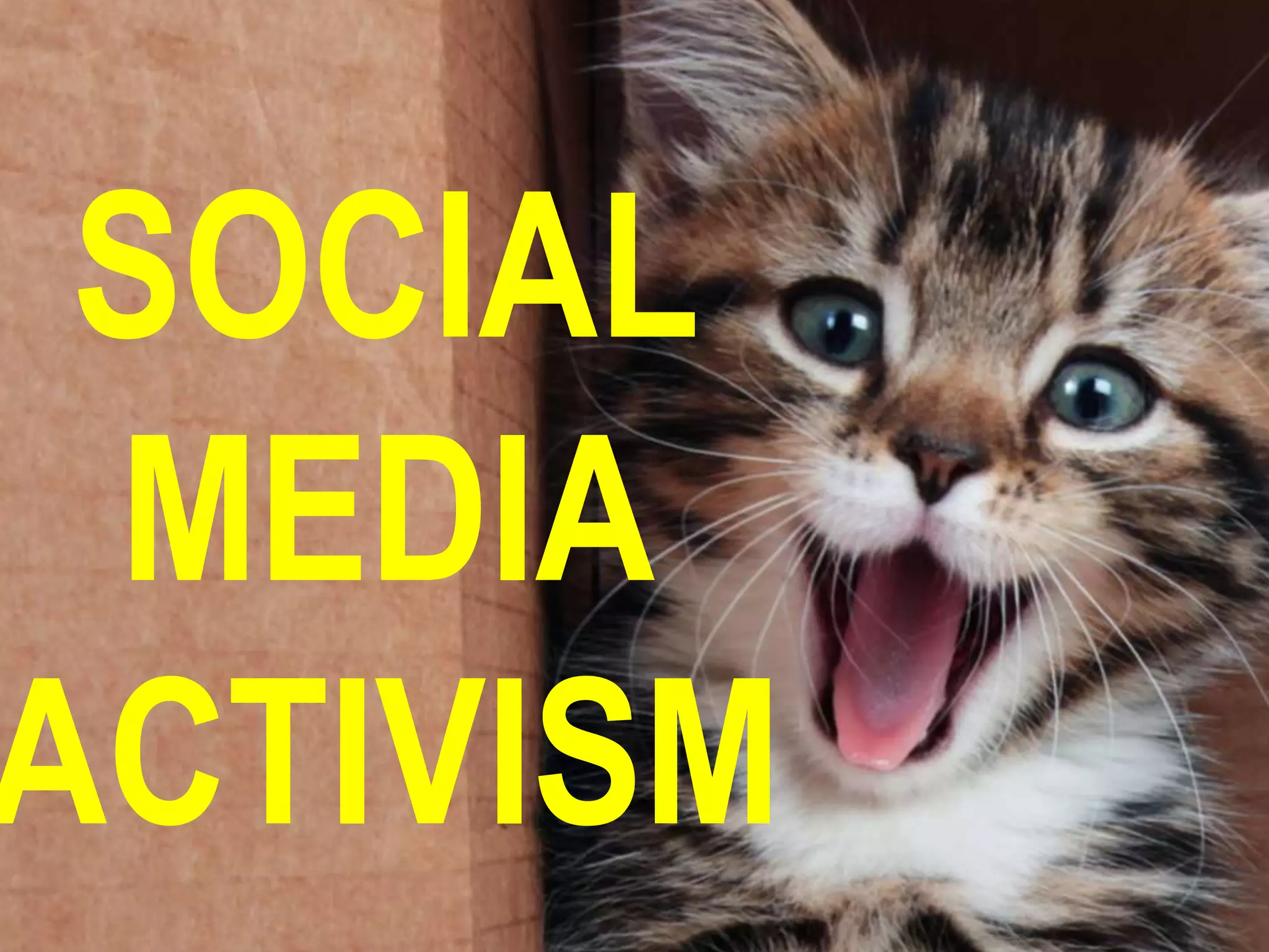 Social media activism | PPTX
