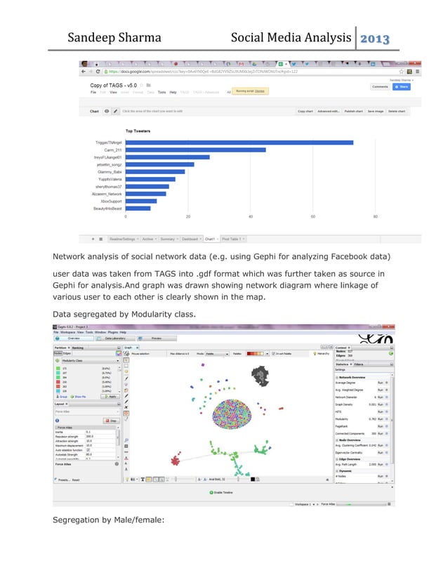 Social media analysis project | PDF | Social Networking | Internet