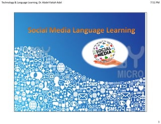 Social media language learning | PDF