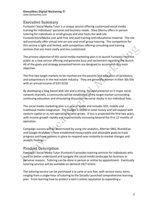 Executive Summary Example For Marketing Plan