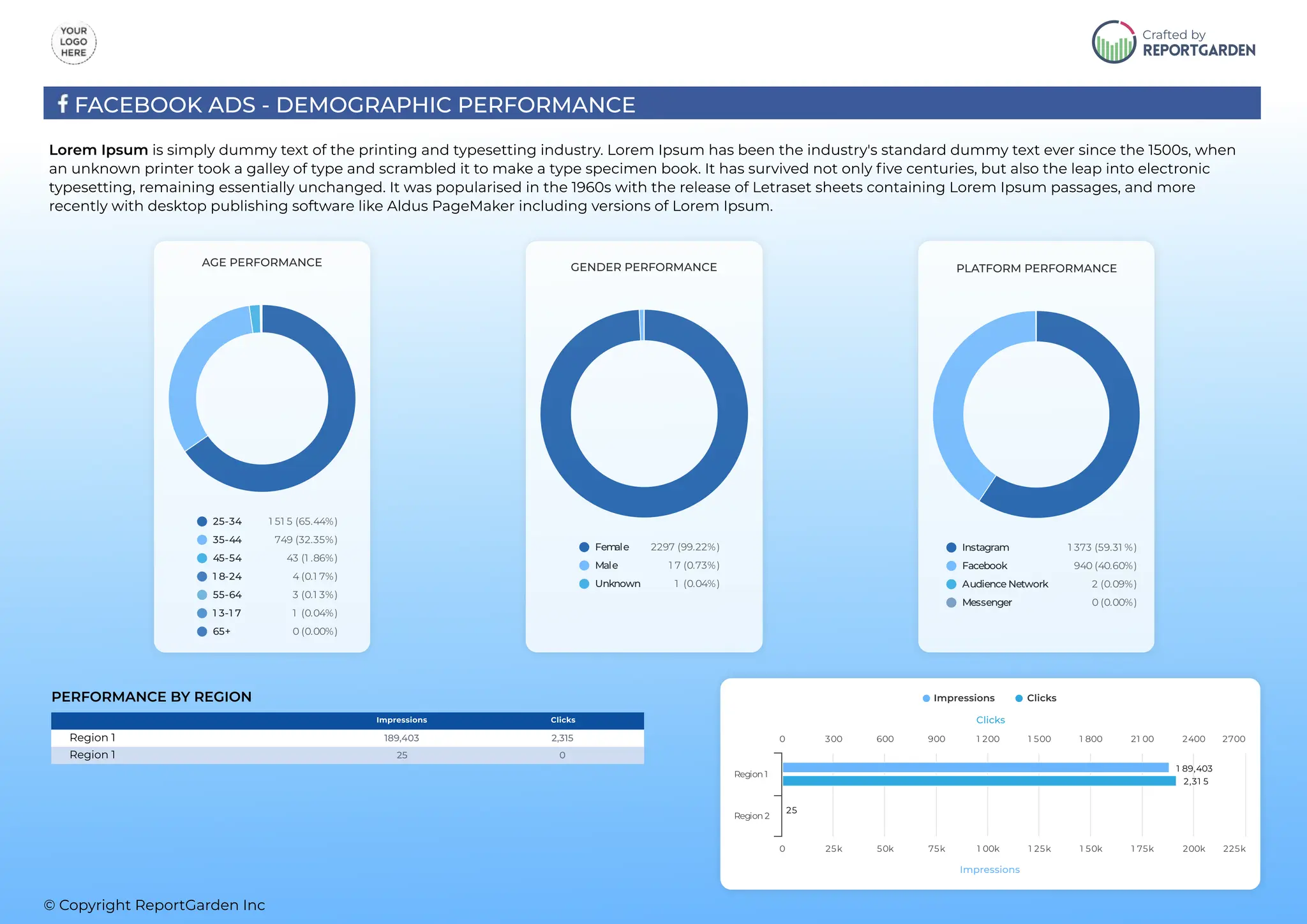 Social Media Paid Ads Performance Report.pdf