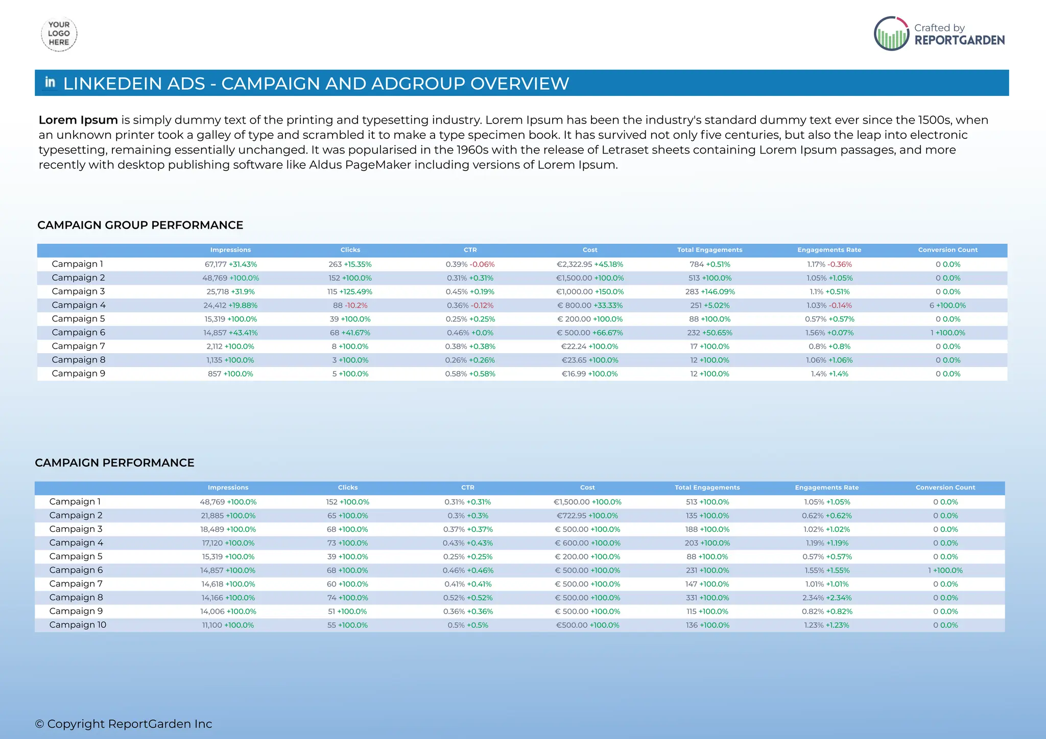 Social Media Paid Ads Performance Report.pdf