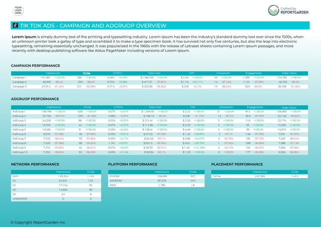 Social Media Paid Ads Performance Report.pdf