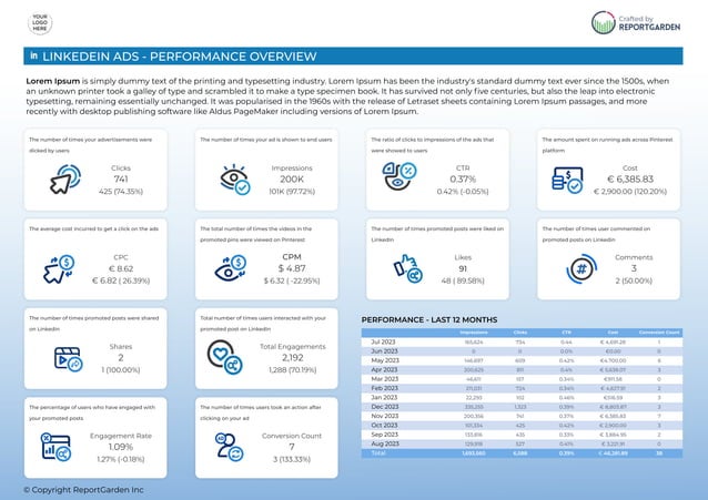 Social Media Paid Ads Performance Report.pdf