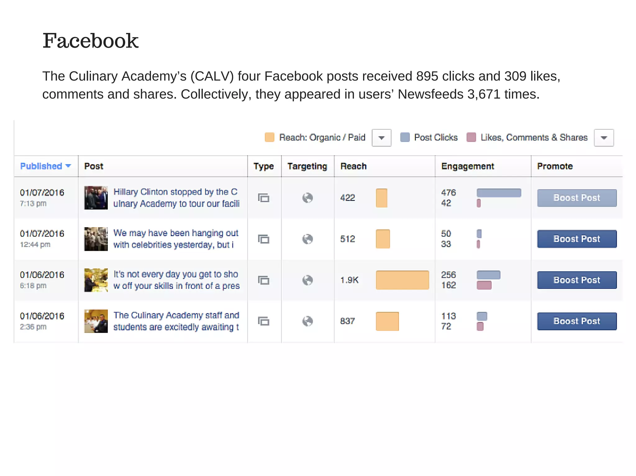 Social Media Portfolio | PDF