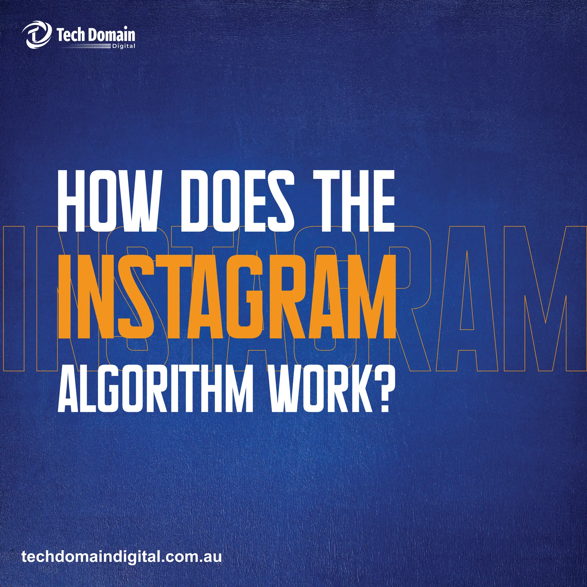 How does the Instagram Algorithm work? | PDF