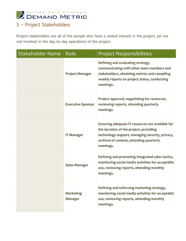 Social Media Project Charter Template | PDF | Social Networking | Internet