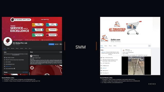 Hamza Iqbal | Digital Marketing Portfolio | PPT