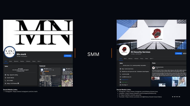 Hamza Iqbal | Digital Marketing Portfolio | PPT