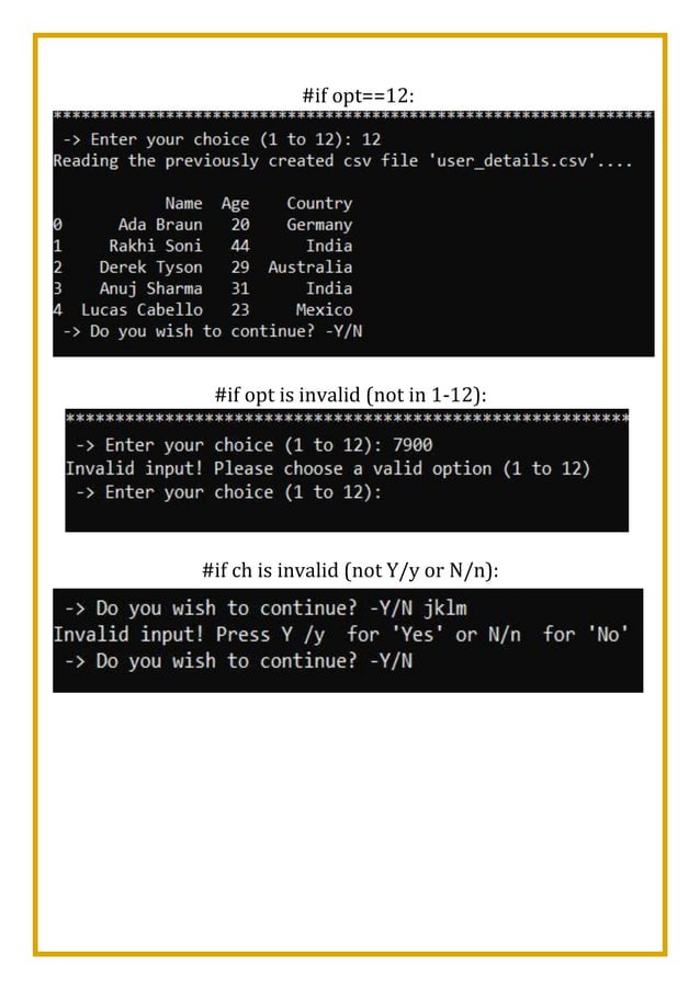 Social Media Site User Management System Class 12th Informatics Practices Python Project Report ...