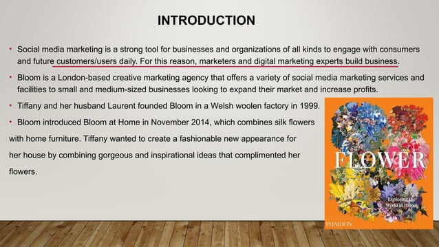 Social media strategy unit 46.ppt powerpoint | PPT