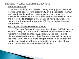 Social movements on conserving biodiversity | PPTX