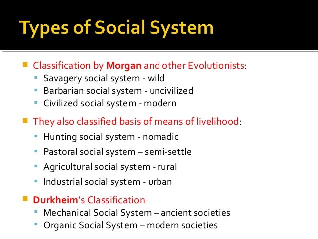 Social organisation and social system