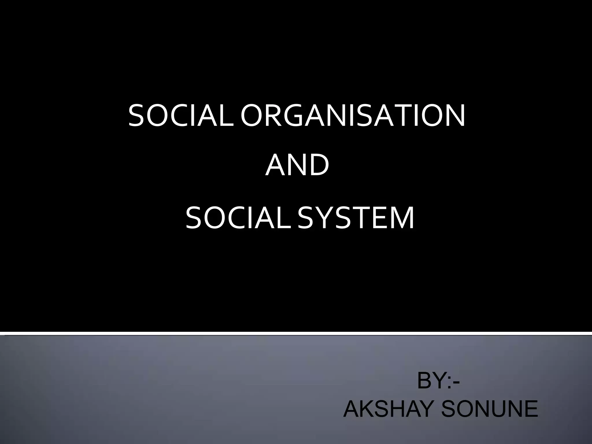 Social Organization and Social system | PPTX
