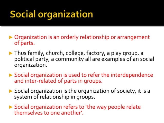 Social Organization and Social system | PPTX