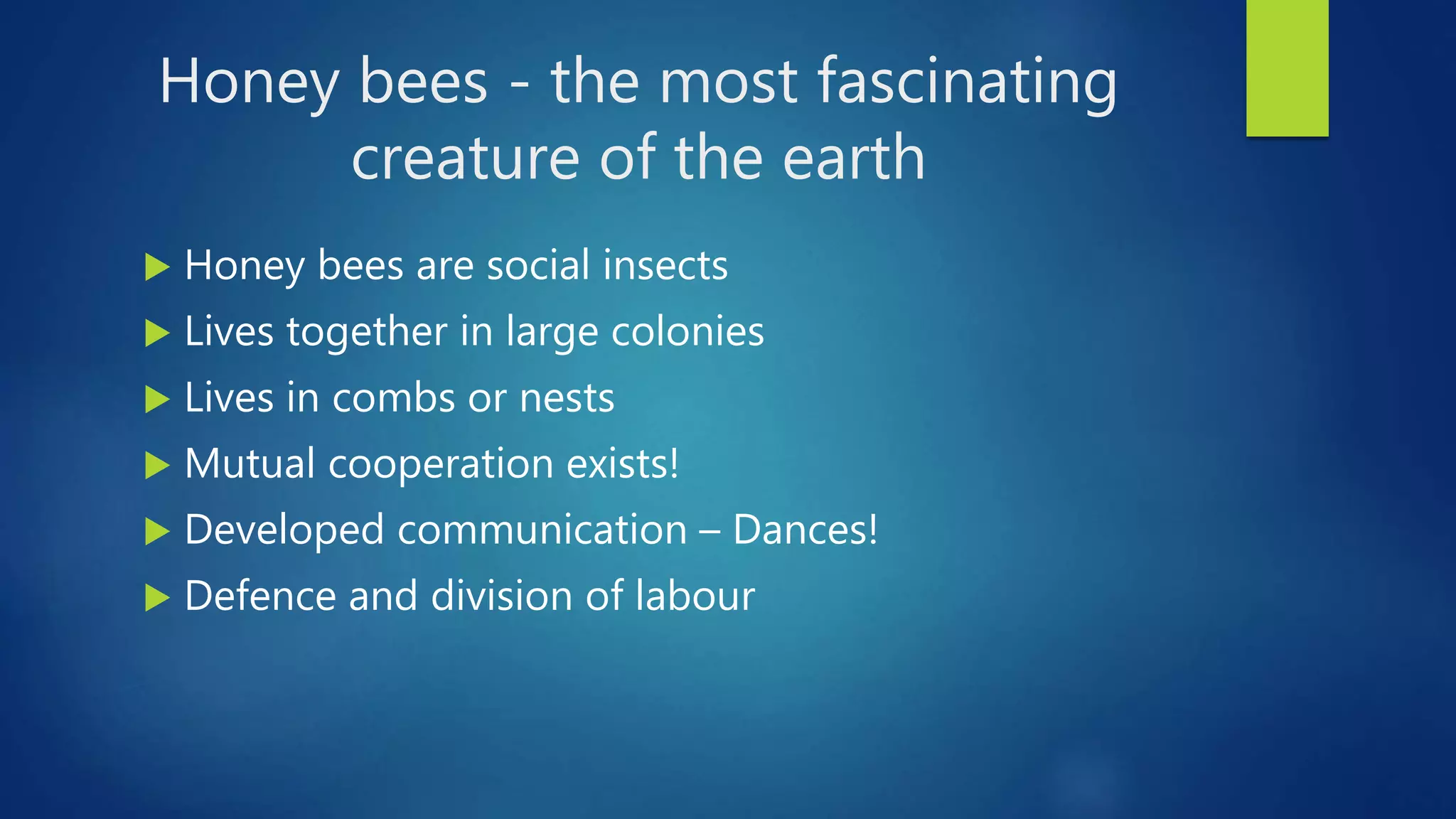 Social organisation in honey bees | PPTX