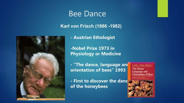 Social organisation in honey bees | PPTX | Beekeeping | Hobbies & Interests