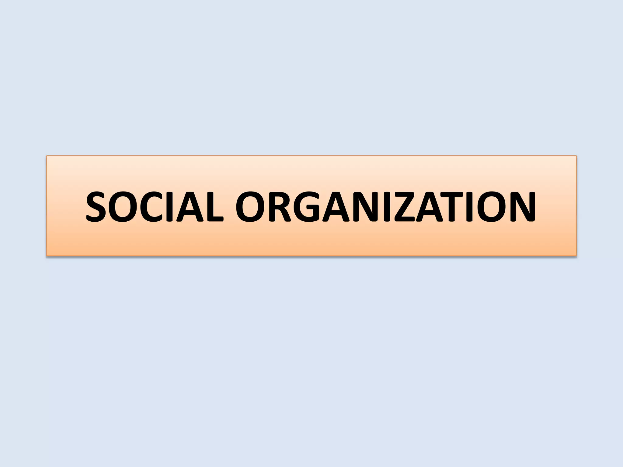 Social organization.pptx