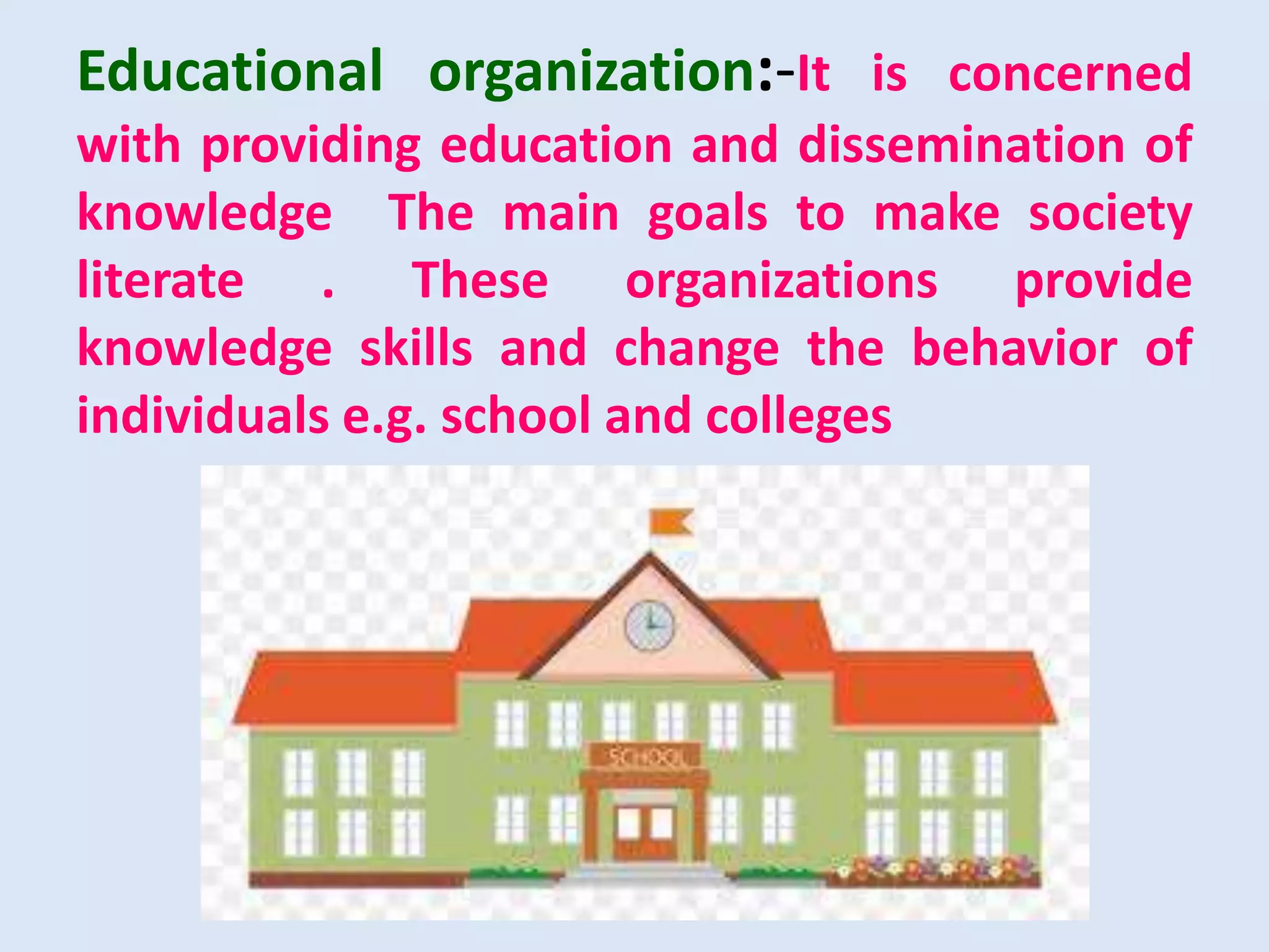 Social organization.pptx