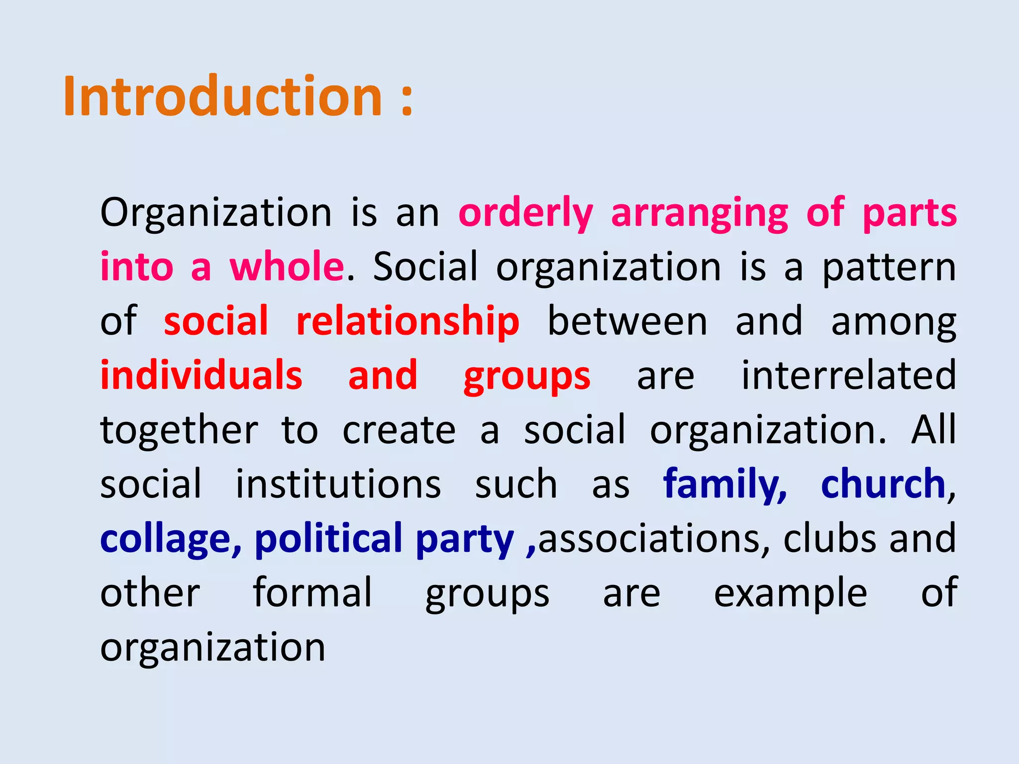 Social organization.pptx