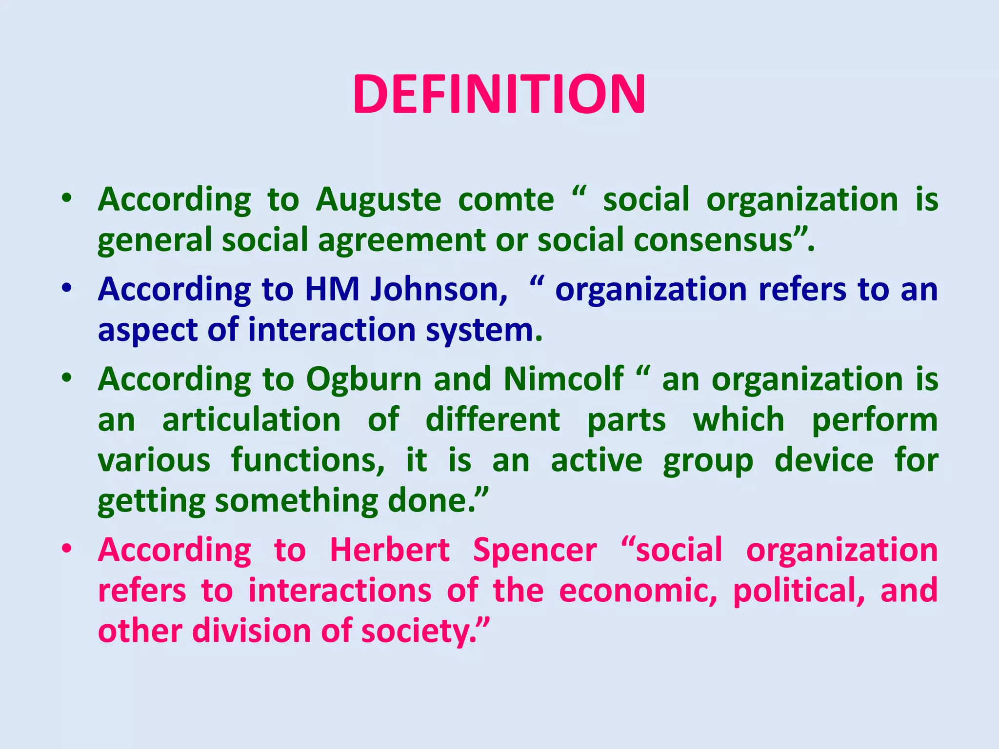 Social organization.pptx