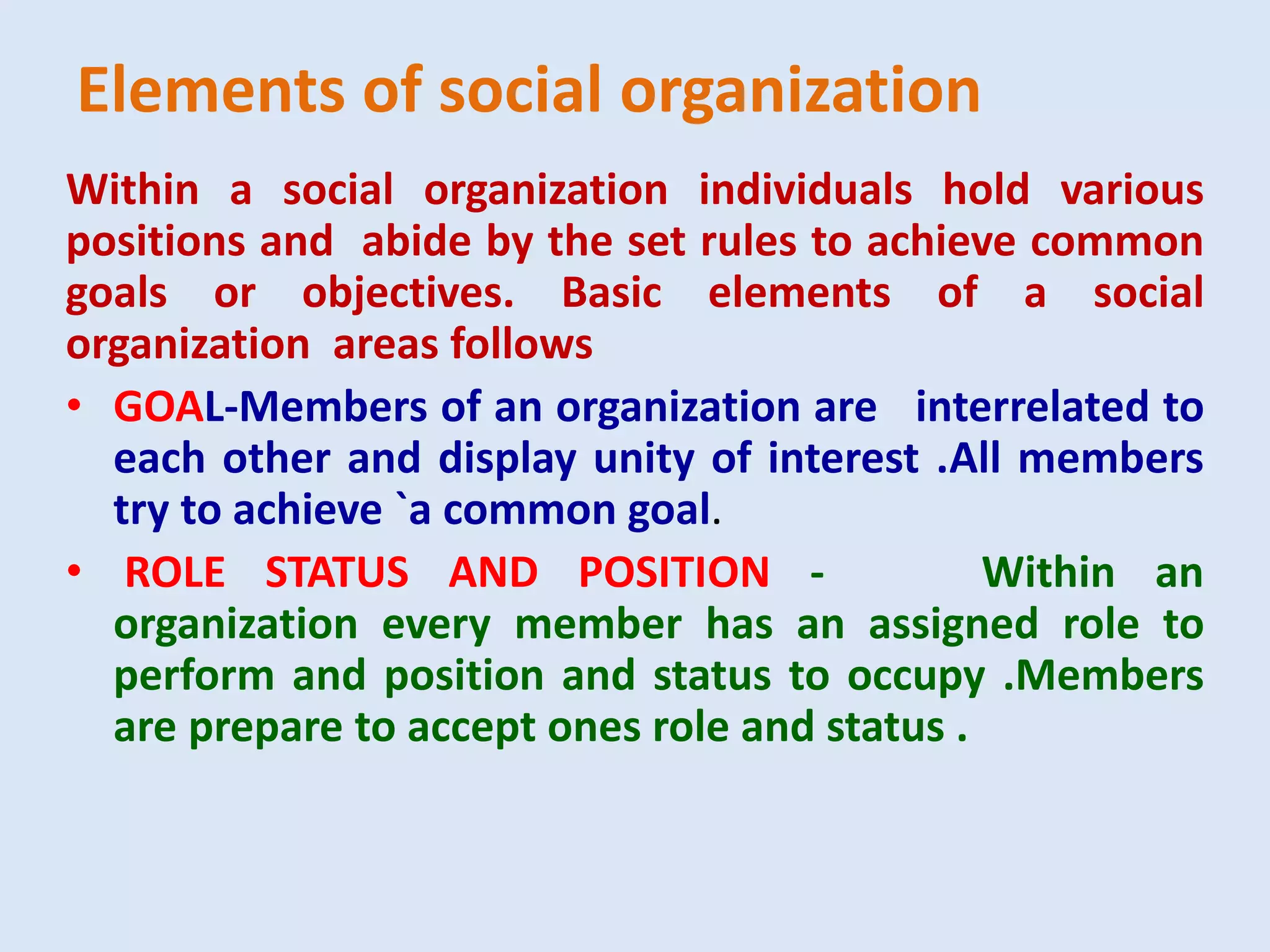 Social organization.pptx