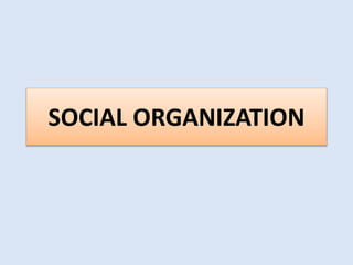 Social organization.pptx
