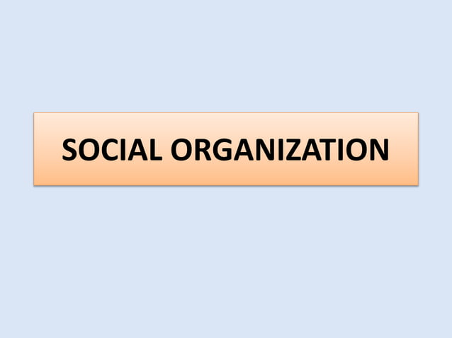 Social organization.pptx