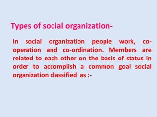 Social organization.pptx